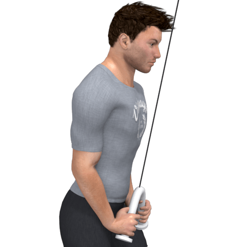 Triceps Push Down Video Exercise Guide