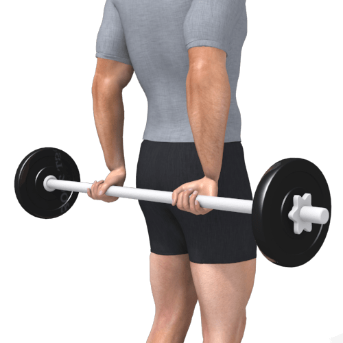 Barbell Wrist Curl Behind Back Video Exercise Guide