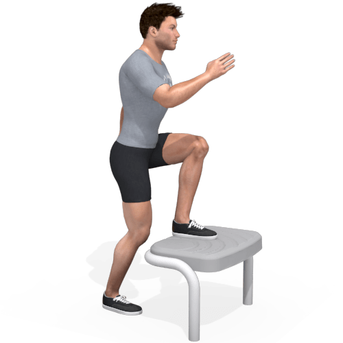 Aerobic Step Step Up High Video Exercise Guide