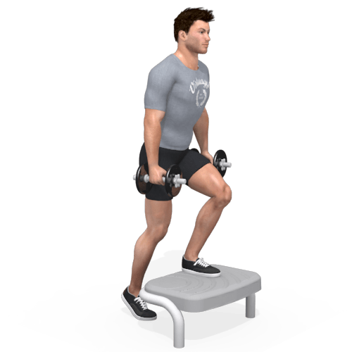 Dumbbells Step Up Video Exercise Guide