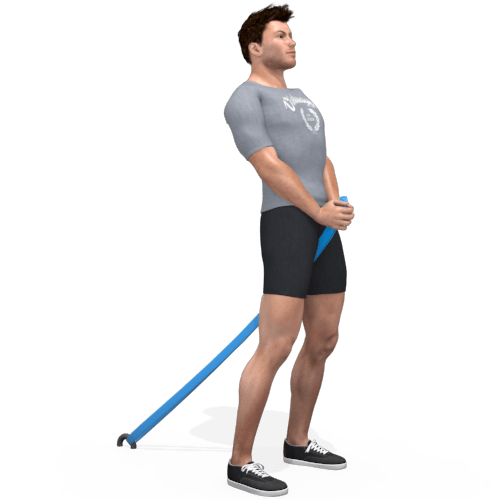 Elastics Pull Through Video Exercise Guide
