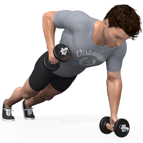 Dumbbells Push-up Row (alternating) Video Exercise Guide