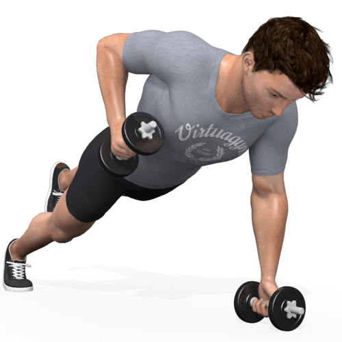 Dumbbells Push-up Cross Row (alternating) Video Exercise Guide