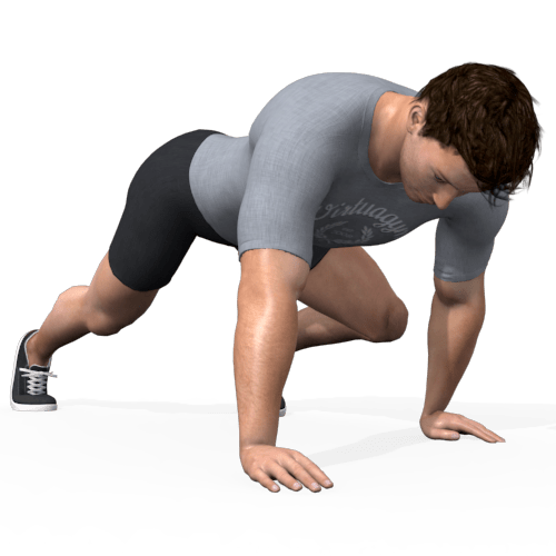Bear Paw Walk Video Exercise Guide