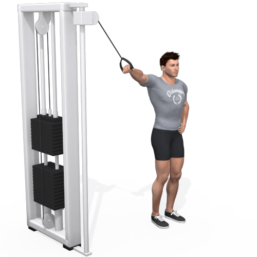 Shoulder Adduction Standing Video Exercise Guide