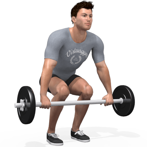 Barbell Hang Power Snatch Video Exercise Guide