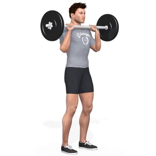 Barbell Power Clean Video Exercise Guide