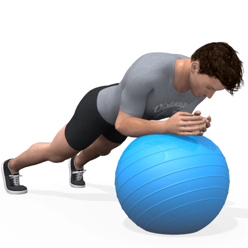 Exercise Ball Plank Circles Video Exercise Guide