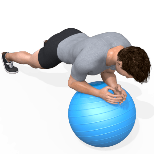 Exercise Ball Plank Circles (alternating) Video Exercise Guide