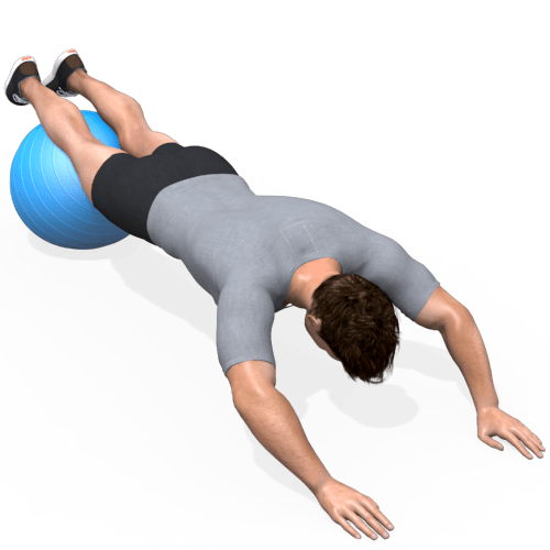 Exercise Ball Ball Rollout Video Exercise Guide