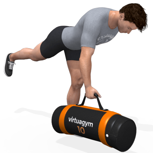 Sandbag One Leg Deadlift Suitcase Grip Video Exercise Guide