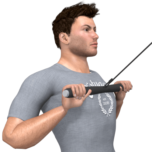 Pulley High Row Video Exercise Guide