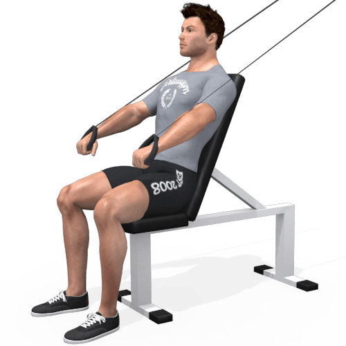 Pulley Straight Arm Pullover Seated Video Exercise Guide