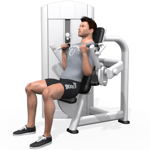 Bicep Curl Machine Video Exercise Guide