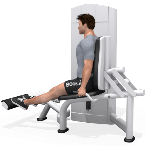 Calf Machine Video Exercise Guide