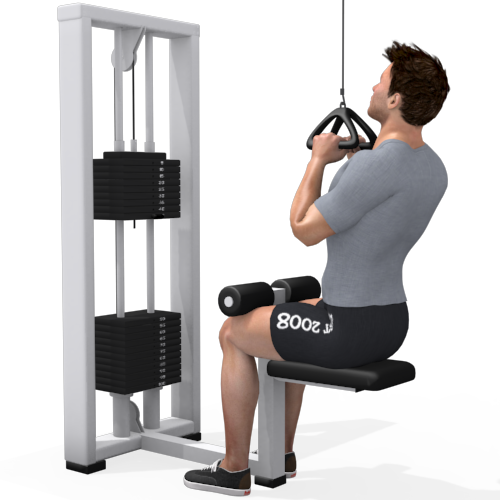 Lat Pulldown Narrow Grip Video Exercise Guide