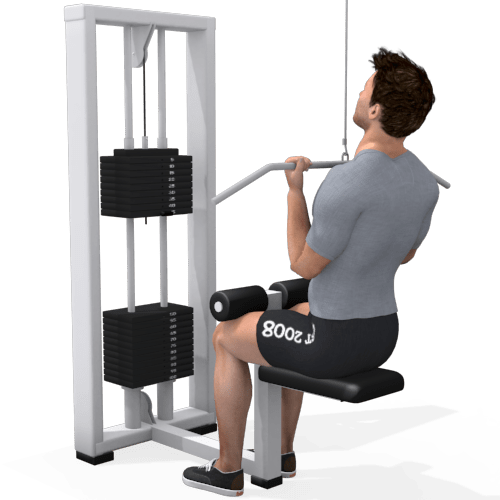 Lat Pulldown Supinated Grip Video Exercise Guide