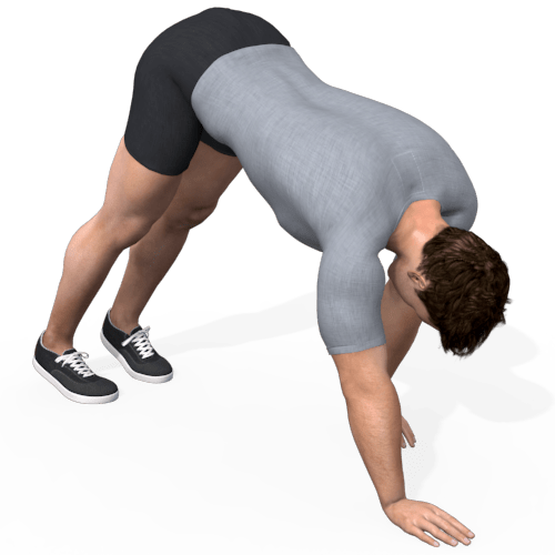 Hand Walk To Plank Walk Sideways Video Exercise Guide