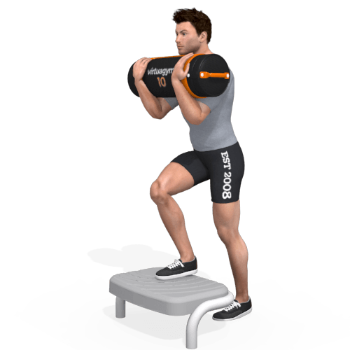 Sandbag Step Up Front Loaded (alternating) Video Exercise Guide