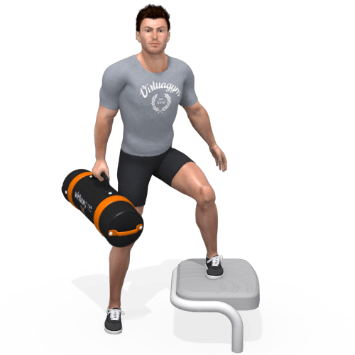 Sandbag Suitcase Lateral Step Up Video Exercise Guide