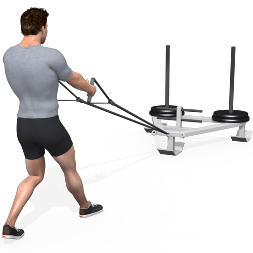 Prowler Sled Reverse Pull Video Exercise Guide