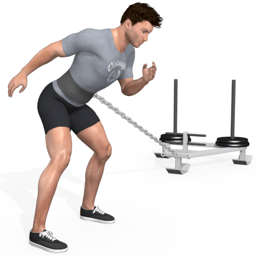 Prowler Sled Side Step Pulls Video Exercise Guide