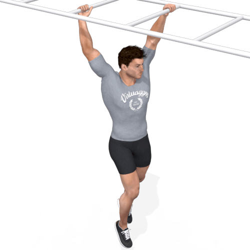 Rig Monkey Bar Slings Video Exercise Guide