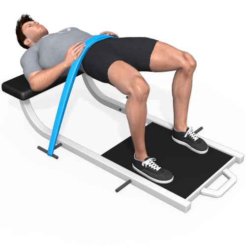 Bench Hip Thrust Band Resisted Video Exercise Guide