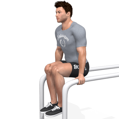 Parallel Bars Knee Raise Video Exercise Guide