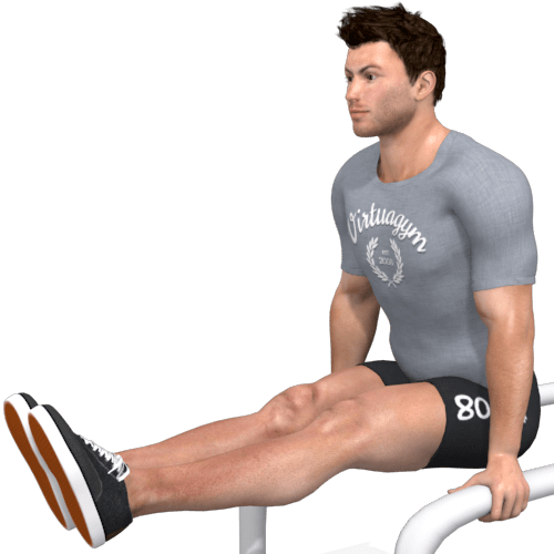 Leg Raise Video Exercise Guide