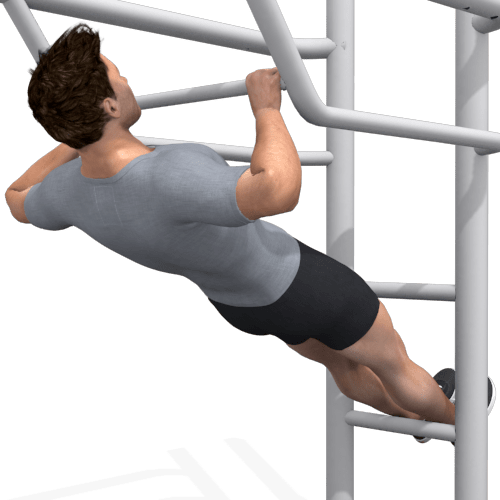 Rig Pull Up Lying Video Exercise Guide