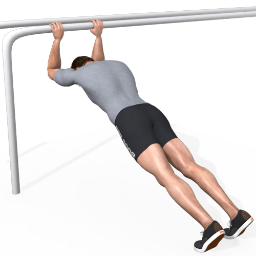 Parallel Bars Triceps Extension Below Bar Video Exercise Guide