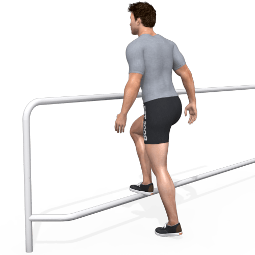 Parallel Bars Step Up Video Exercise Guide