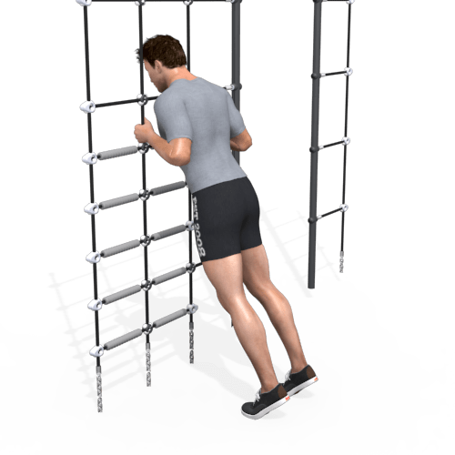 Multinet Push-up Narrow Video Exercise Guide