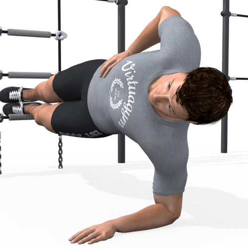 Multinet Side Plank Video Exercise Guide