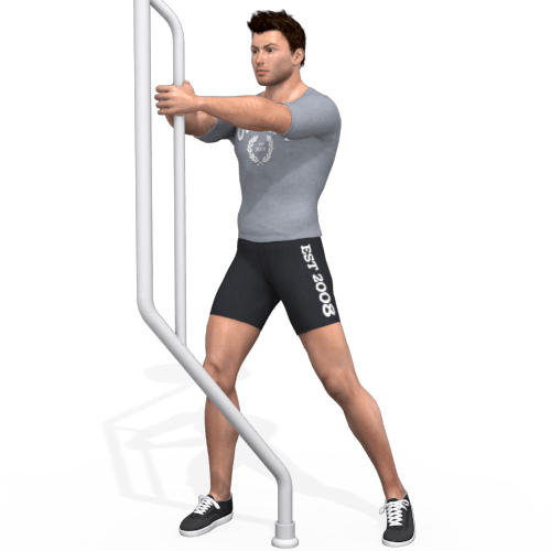 Pallof Pull Video Exercise Guide