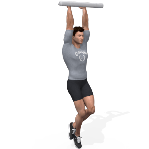 Rig Hang Neutral Grip Video Exercise Guide