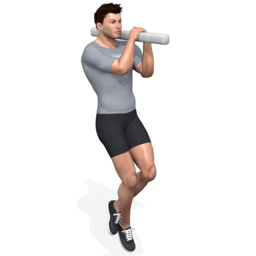 Rig Pull Up Side To Side Video Exercise Guide