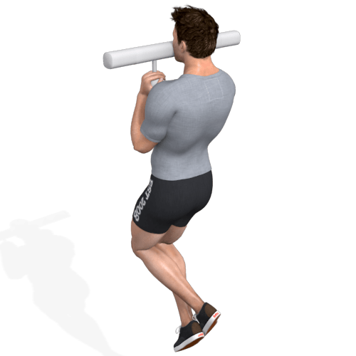 Rig Pull Up Ball Grip Video Exercise Guide