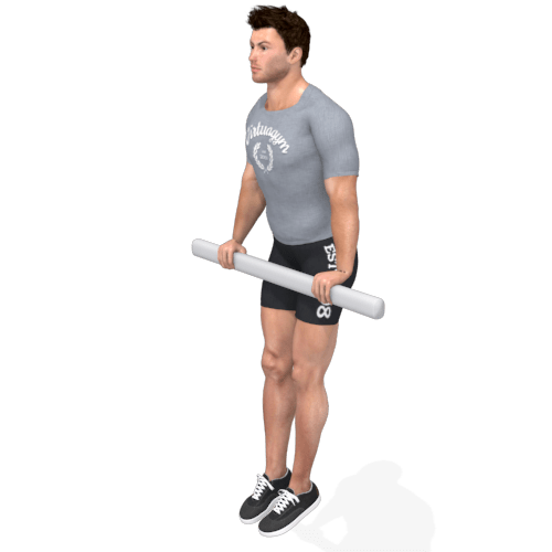 Rig Muscle Up Video Exercise Guide