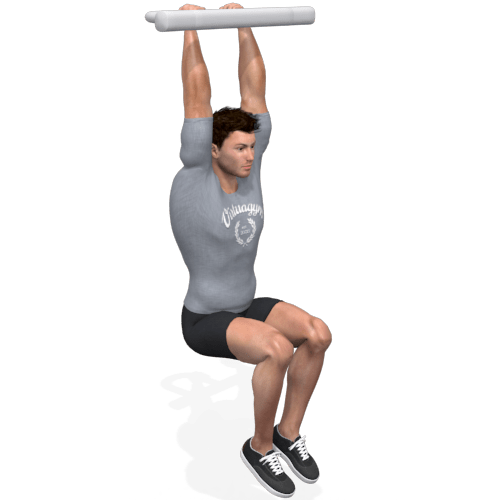 Rig Knee Raise Video Exercise Guide