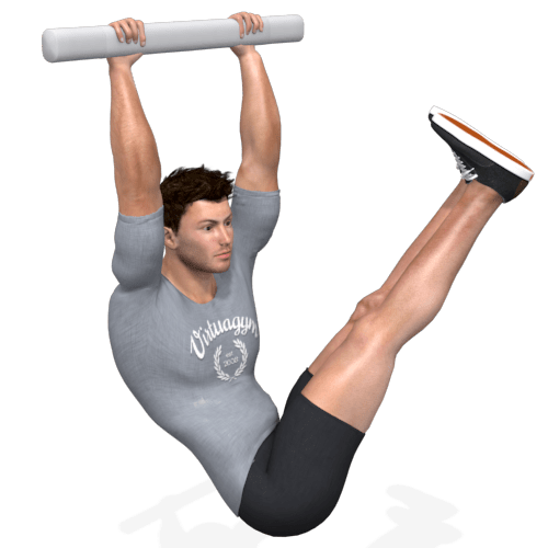 Rig Hanging Leg Rotation Video Exercise Guide