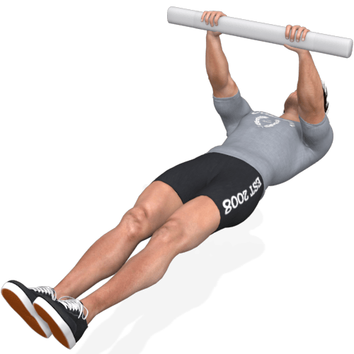 Rig Front Lever Video Exercise Guide