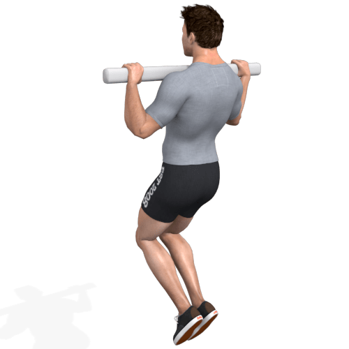 Rig Pull Up Eccentric Wide Grip Video Exercise Guide