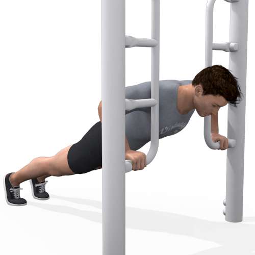 Rig Push-up Incline Video Exercise Guide