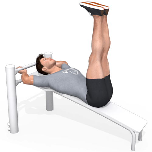 Rig Leg Raise Decline Video Exercise Guide