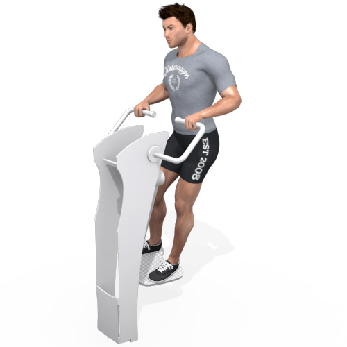 Lateral Swing Machine Video Exercise Guide