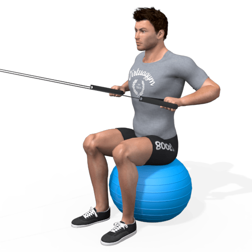Pulley Seated Row Video Exercise Guide