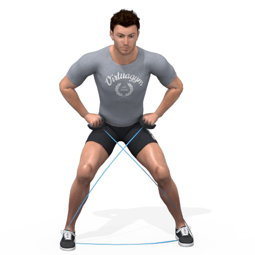 Elastics Squat Walk Video Exercise Guide