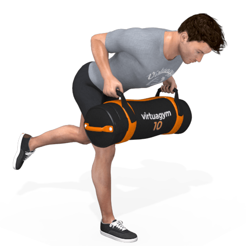 Sandbag Bent-over Row One Leg Video Exercise Guide
